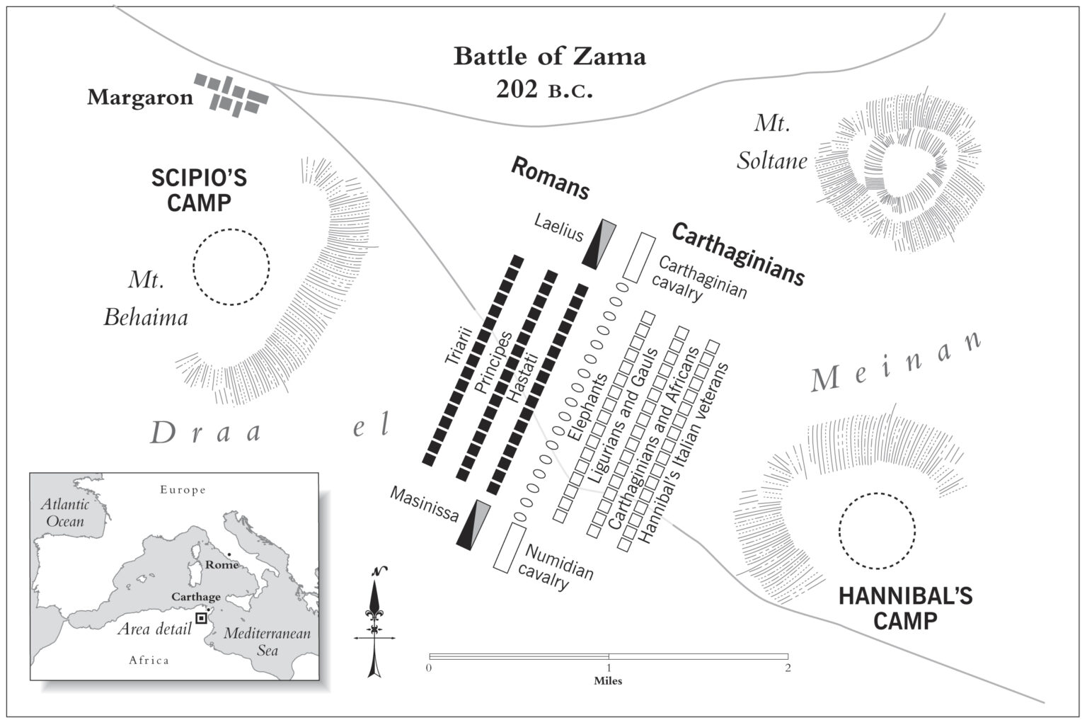 The Battle of Zama (202 BCE): The Decisive Clash That Ended the Second ...